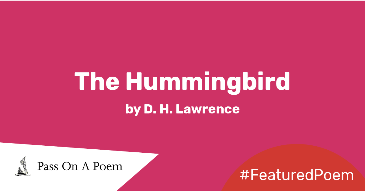 Featured Poem: The Hummingbird by D. H. Lawrence - The Reader