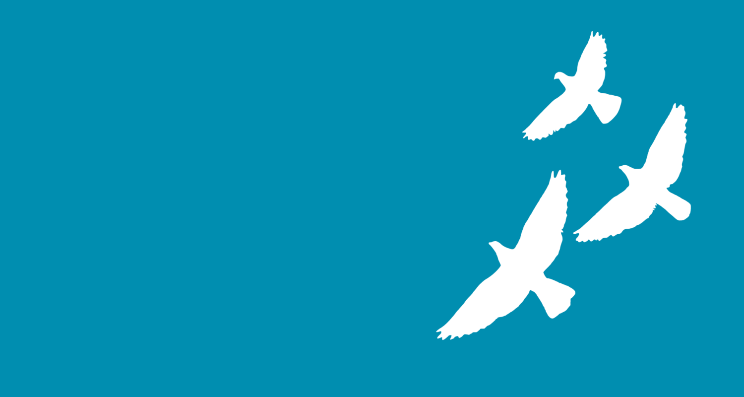 The Reader Magazine Archives - The Reader