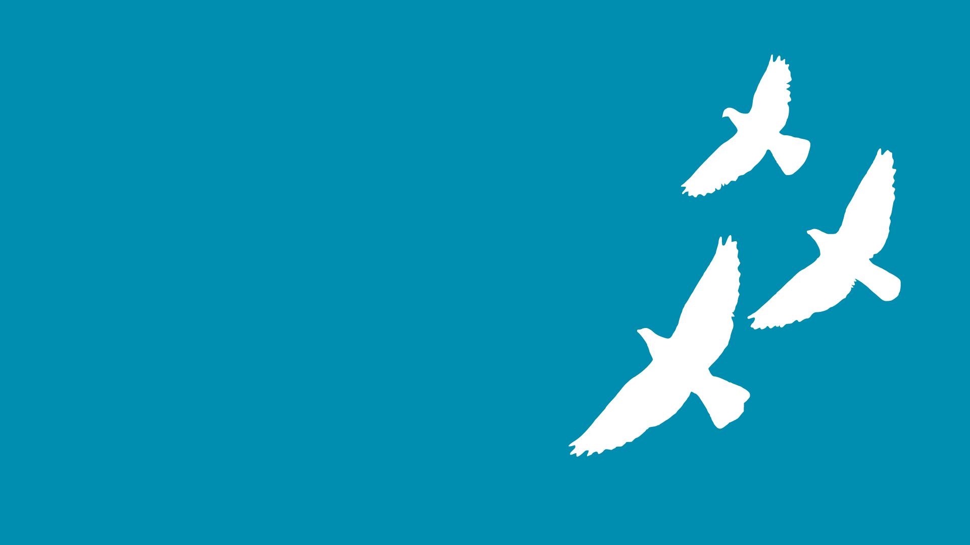 The Reader Magazine: Looking Up by Ann Stapleton - The Reader