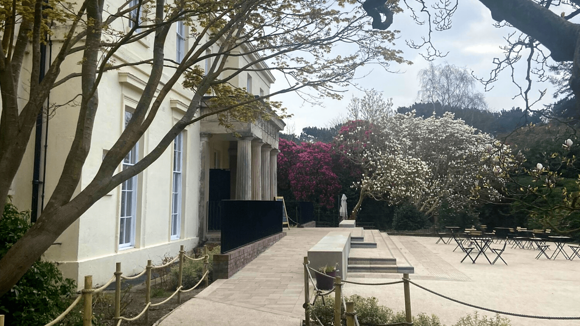 Spring refresh – The Reader Café reopens Saturday 30 April - The Reader